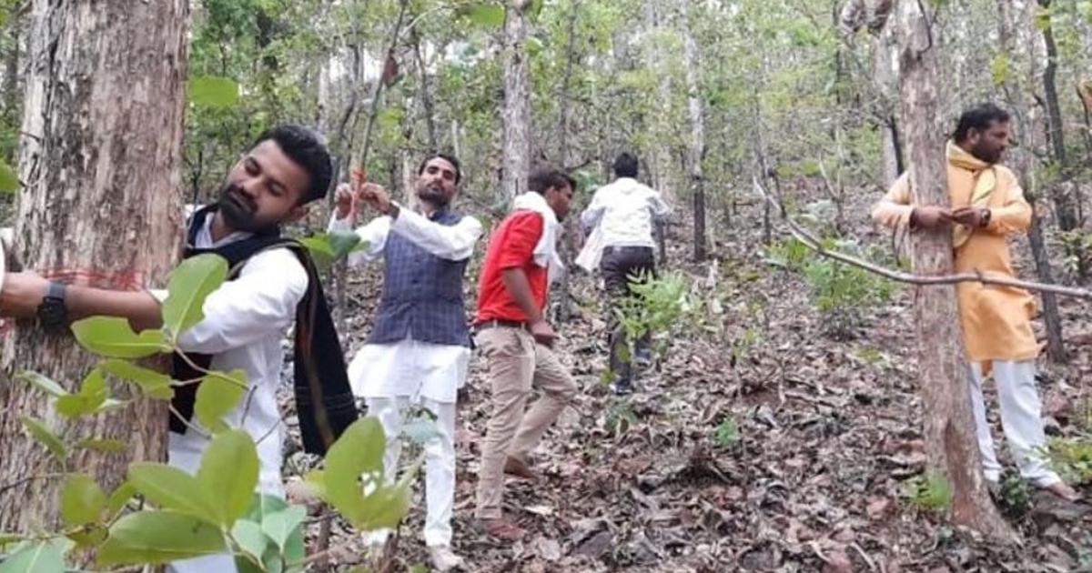 In Madhya Pradesh’s Buxwaha Forest, a Diamond Mine Could Claim Two Lakh ...